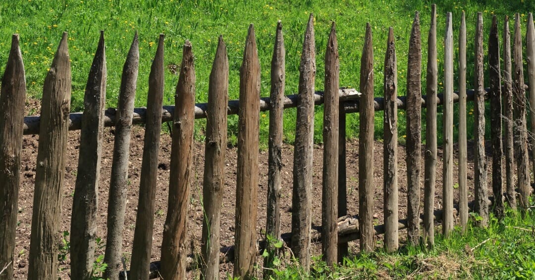 BLOG - Page 2 of 3 - AoE2 Guide